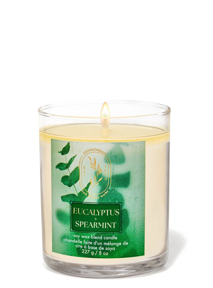 Shop Eucalyptus Spearmint Single Wick Candle | VN Bath & Body Works